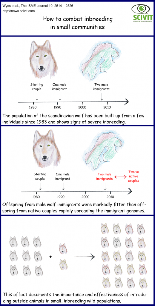 How to combat inbreeding in small communities - Scivit News