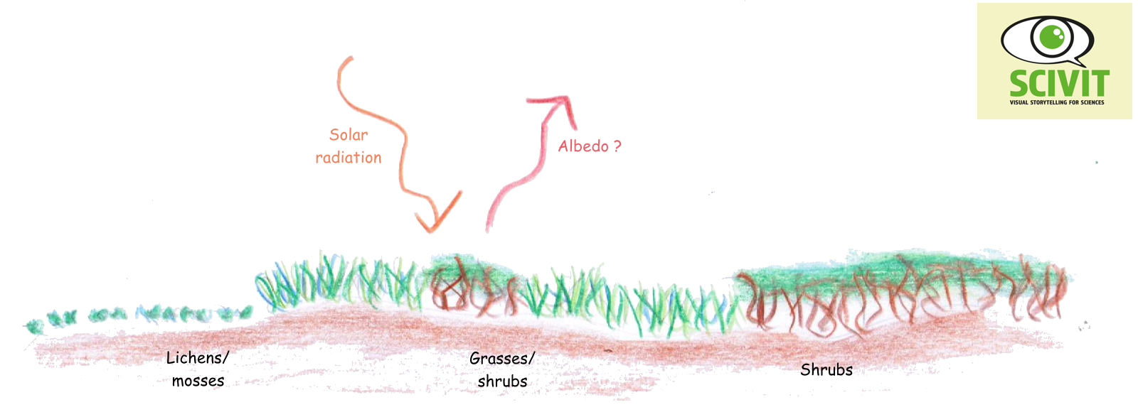 Global warming does not necessarily lead to a decreased arctic albedo ...