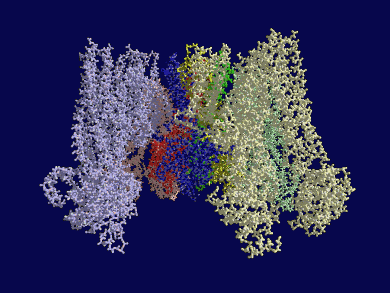 An ATP-sensitive Potassium Channel - Scivit - english version