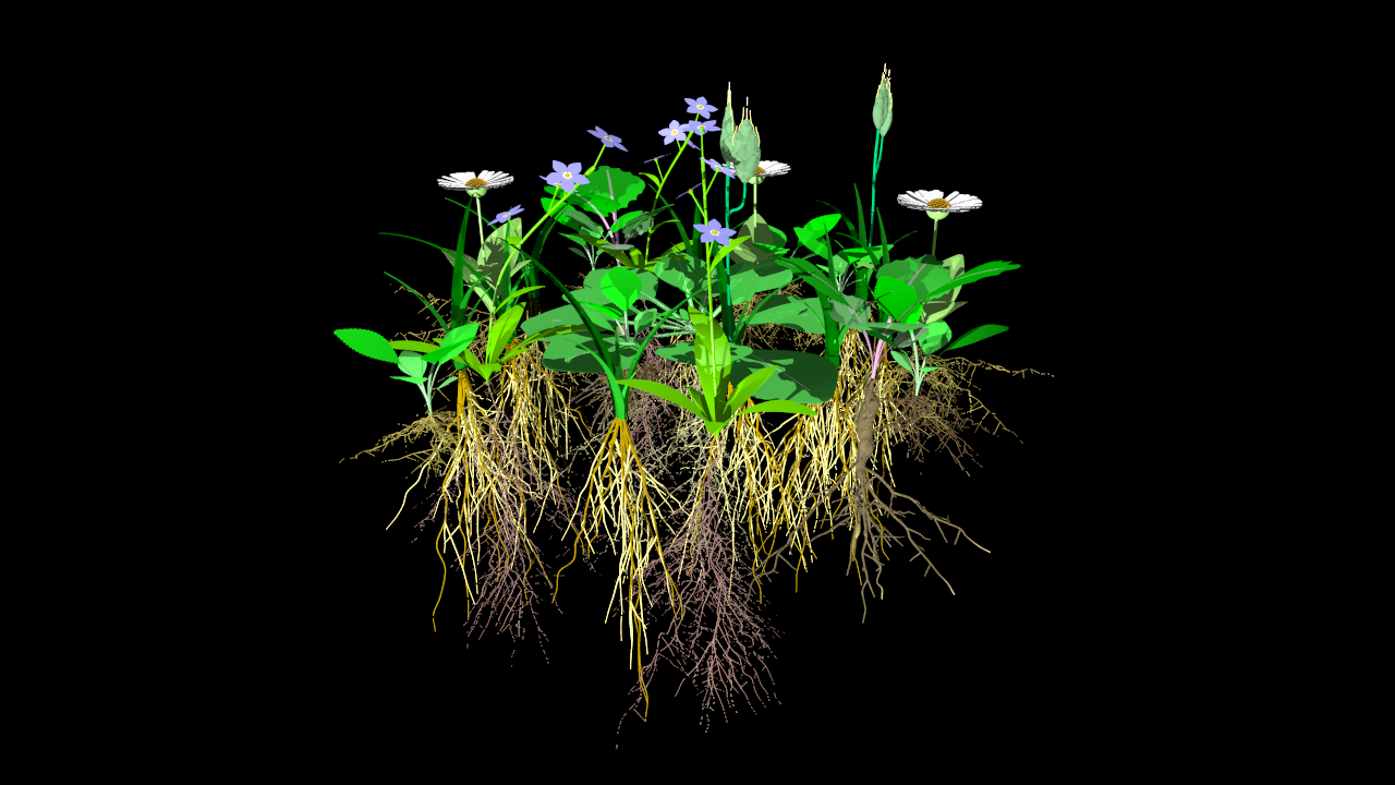 Virtual plant communities - Scivit News